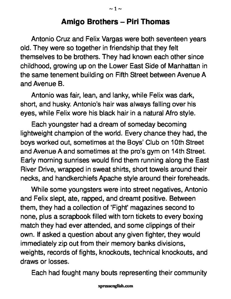 Amigo Brothers Piri Thomas